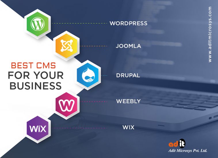 Best CMS For Your Business - AditMicrosys